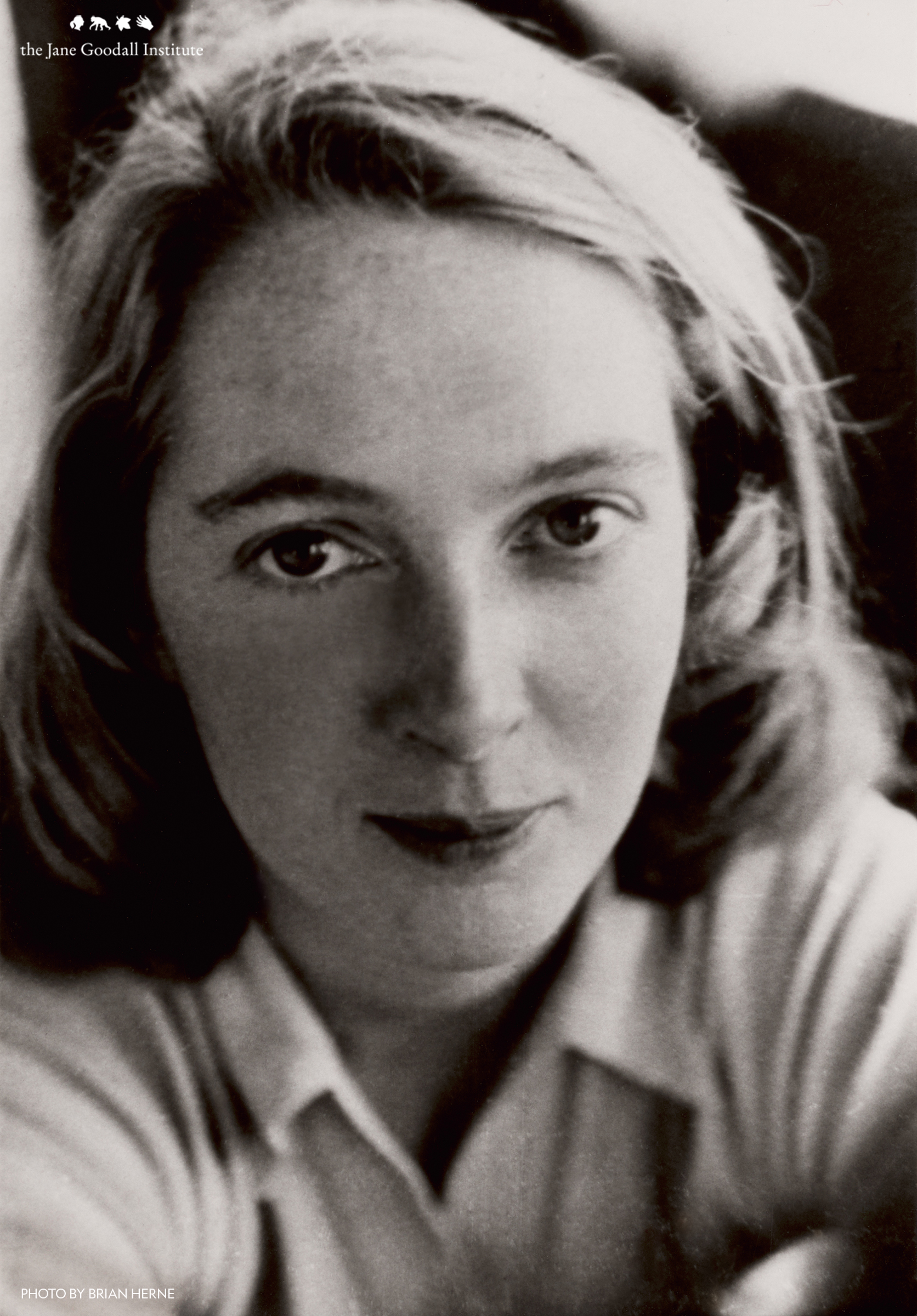 Immersive Jane Goodall exhibit coming to Los Angeles in fall