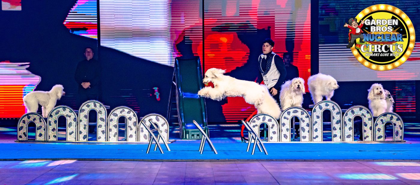 'Largest circus on Earth' to return to Santa Anita Park