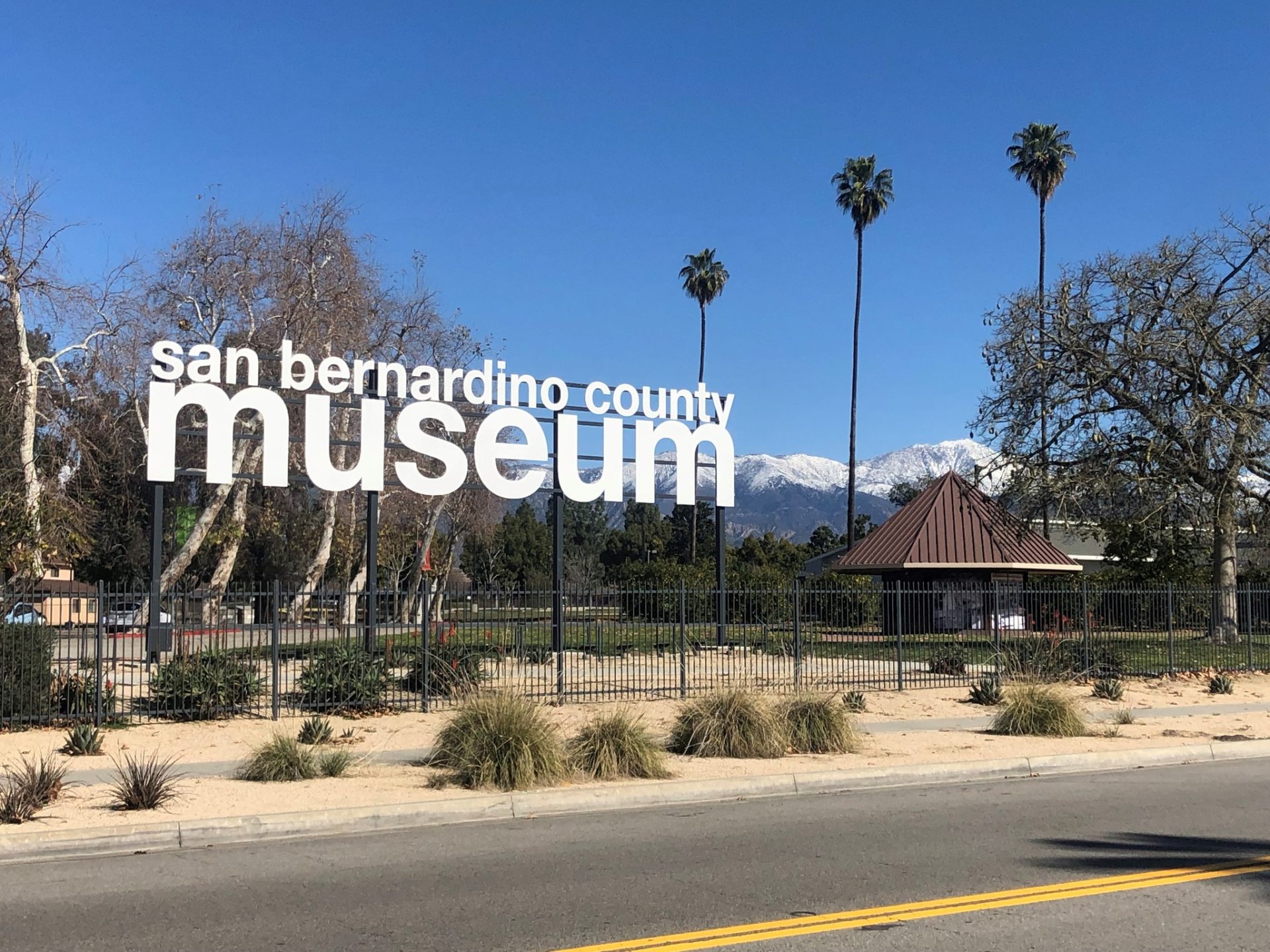 San Bernardino County Museum to host 10th annual Bucky Ball