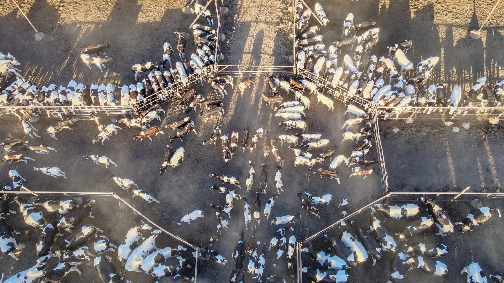 New online tool maps factory farms across California