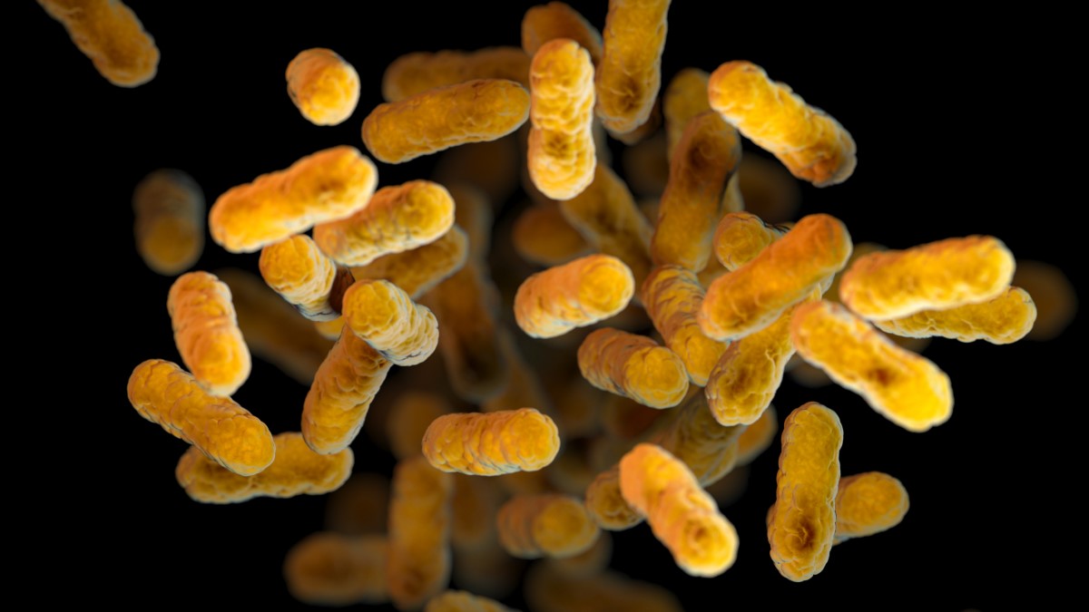 Pasadena health department issues warnings for whooping cough, mpox