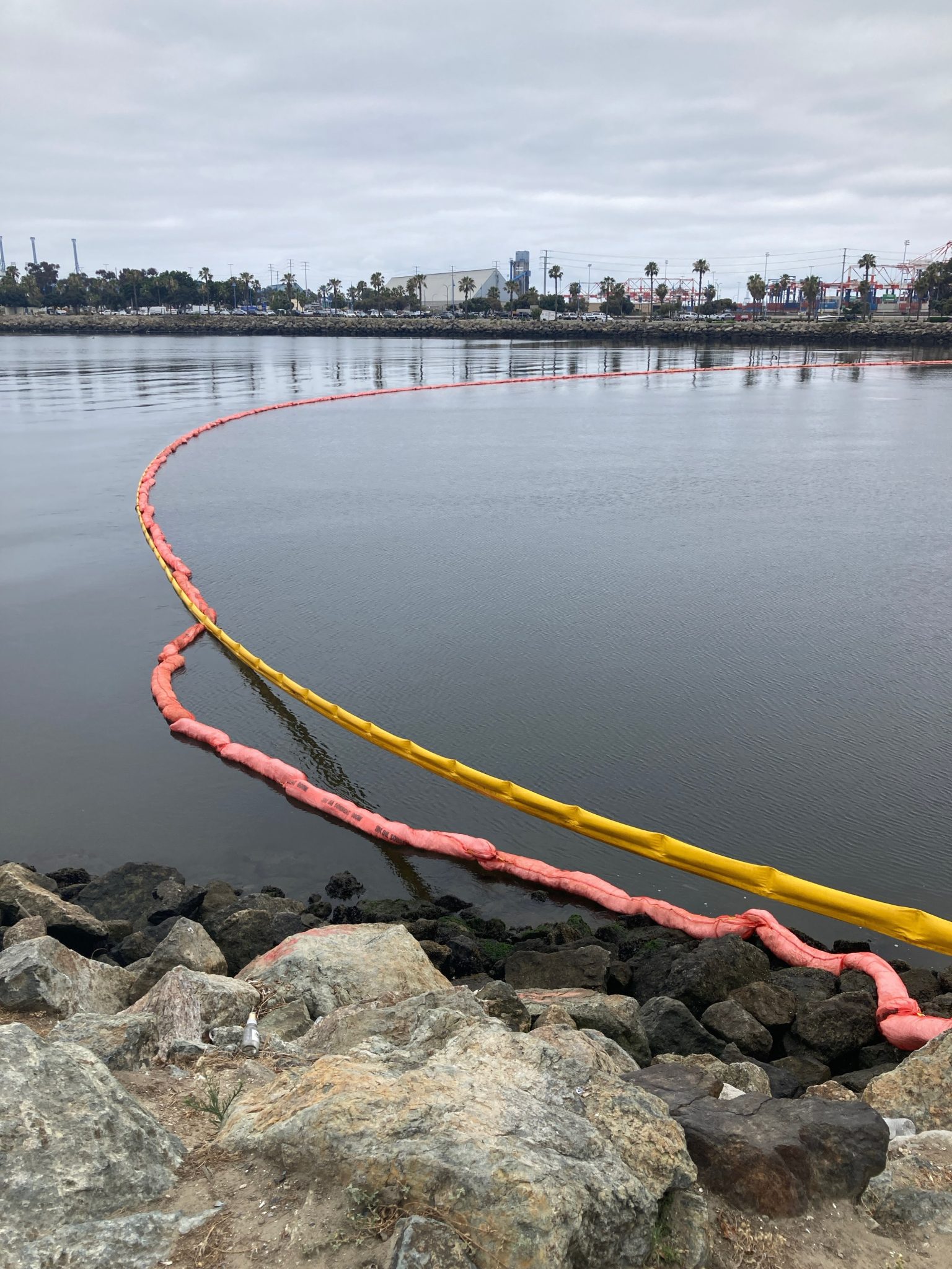 Oiled birds recovered from river after spill in East Los Angeles